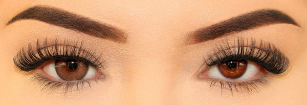 Rich Hazel – Orchid Lens